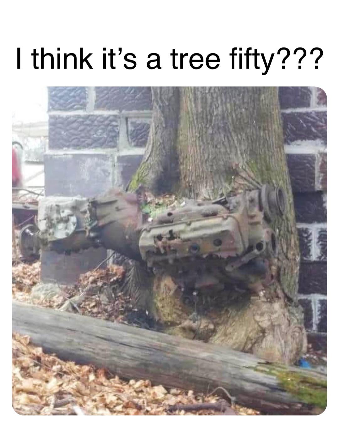 Double tap to edit I think it’s a tree fifty ...