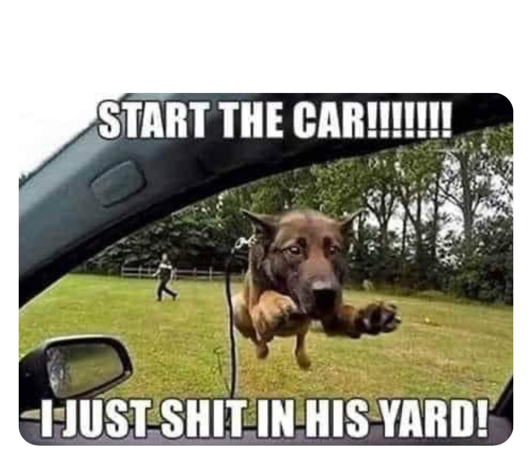 Double tap to edit | @robinhoodprinceofmemes | Memes