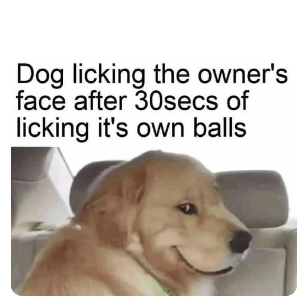 Double tap to edit | @robinhoodprinceofmemes | Memes