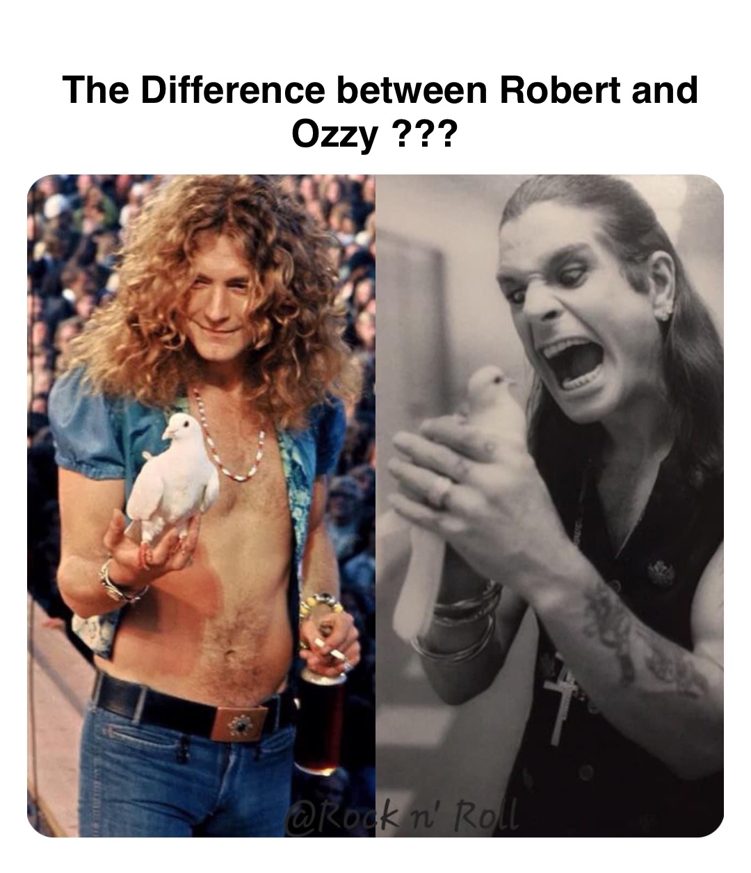 Double tap to edit The Difference between Robert and Ozzy ??? | @robinhoodprinceofmemes | Memes