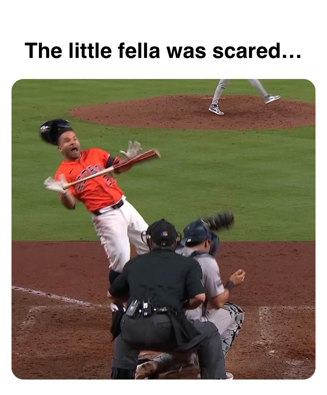 Double tap to edit The little fella was scared ...