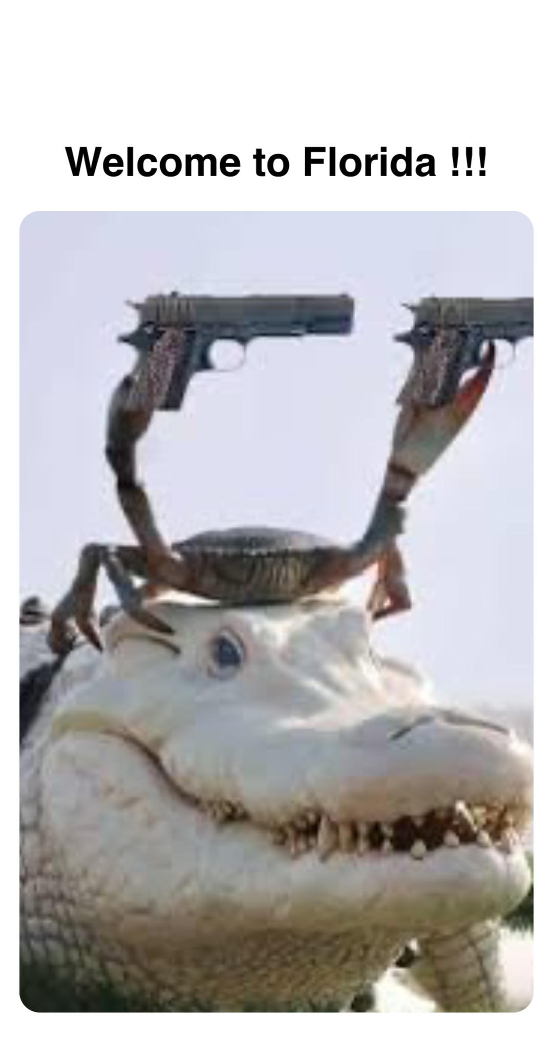Double tap to edit Welcome to Florida !!! | @robinhoodprinceofmemes | Memes