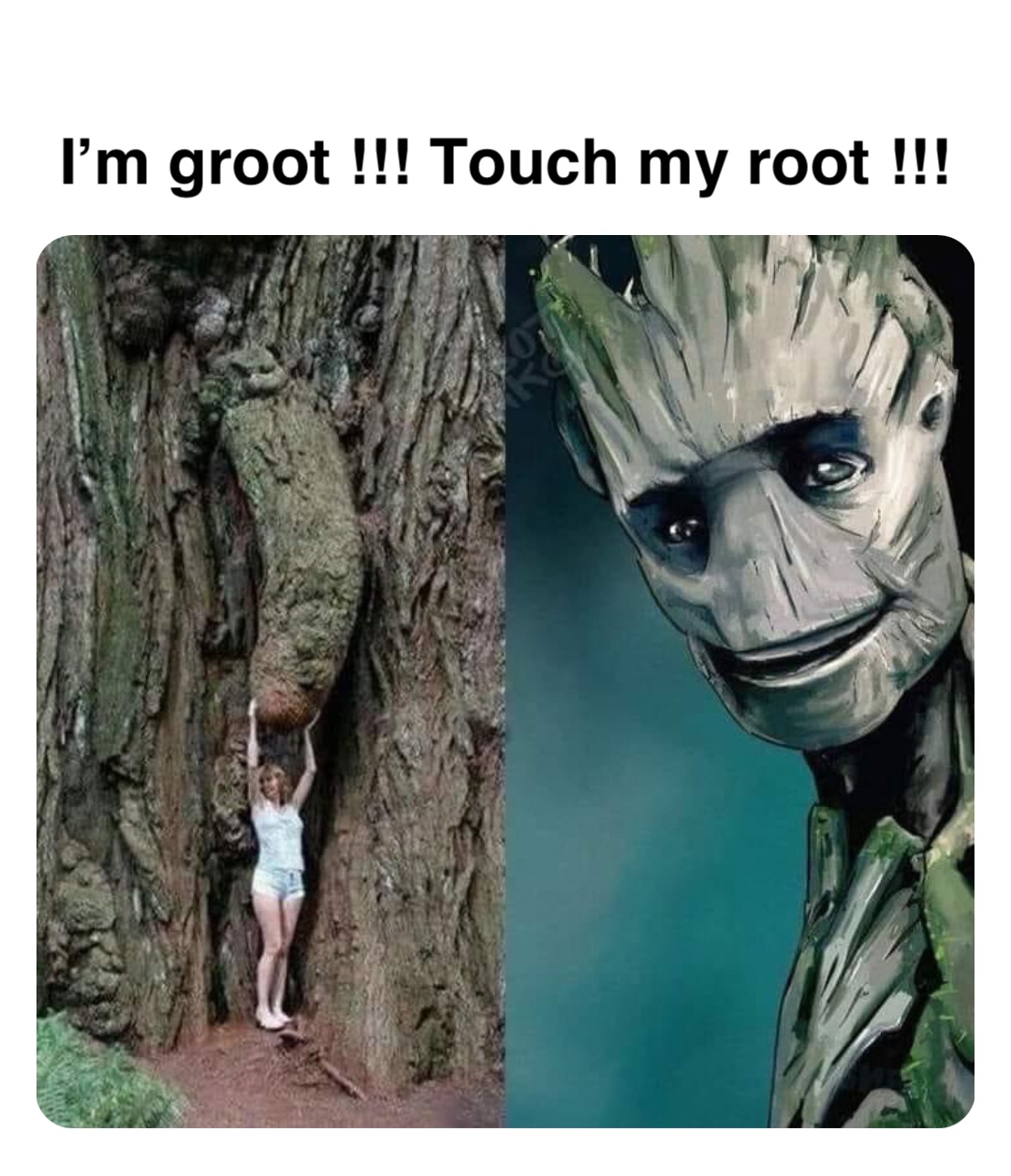 Double tap to edit I’m groot !!! Touch my root ...