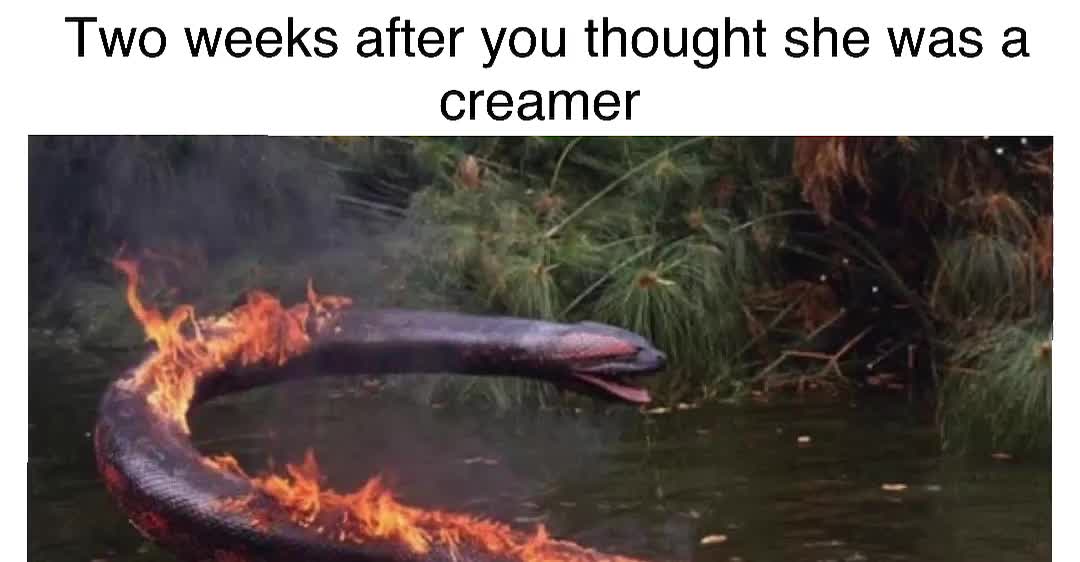 Two weeks after you thought she was a creamer | @robinhoodprinceofmemes ...