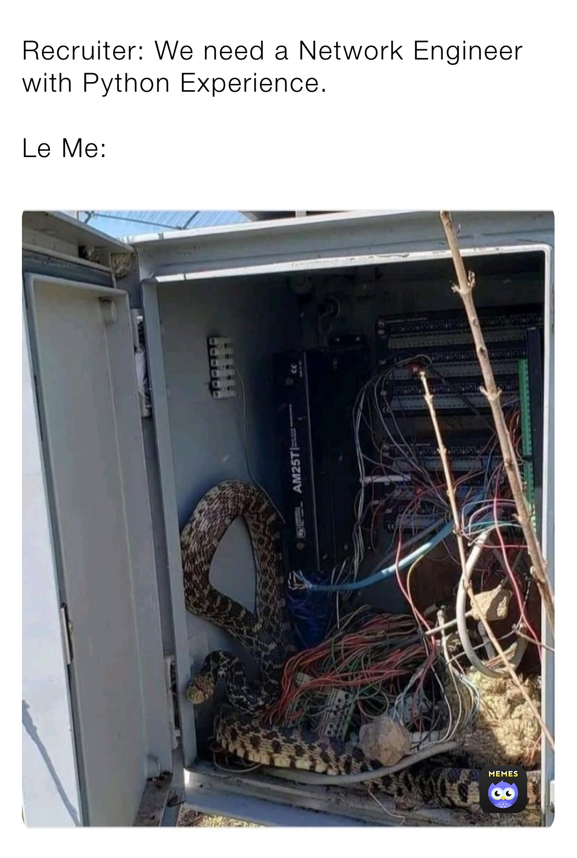 Recruiter: We need a Network Engineer with Python Experience. Le Me ...