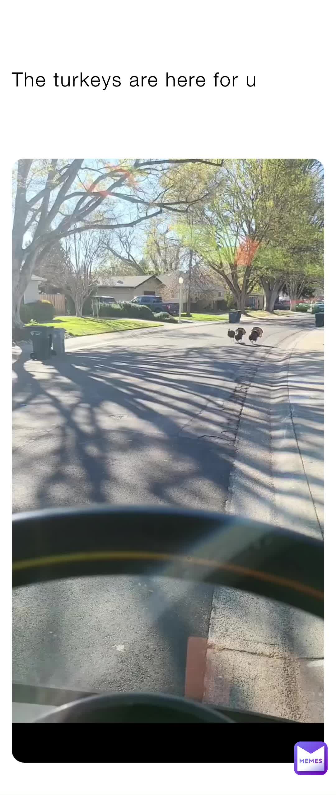 The turkeys are here for u | @broken_ankles | Memes