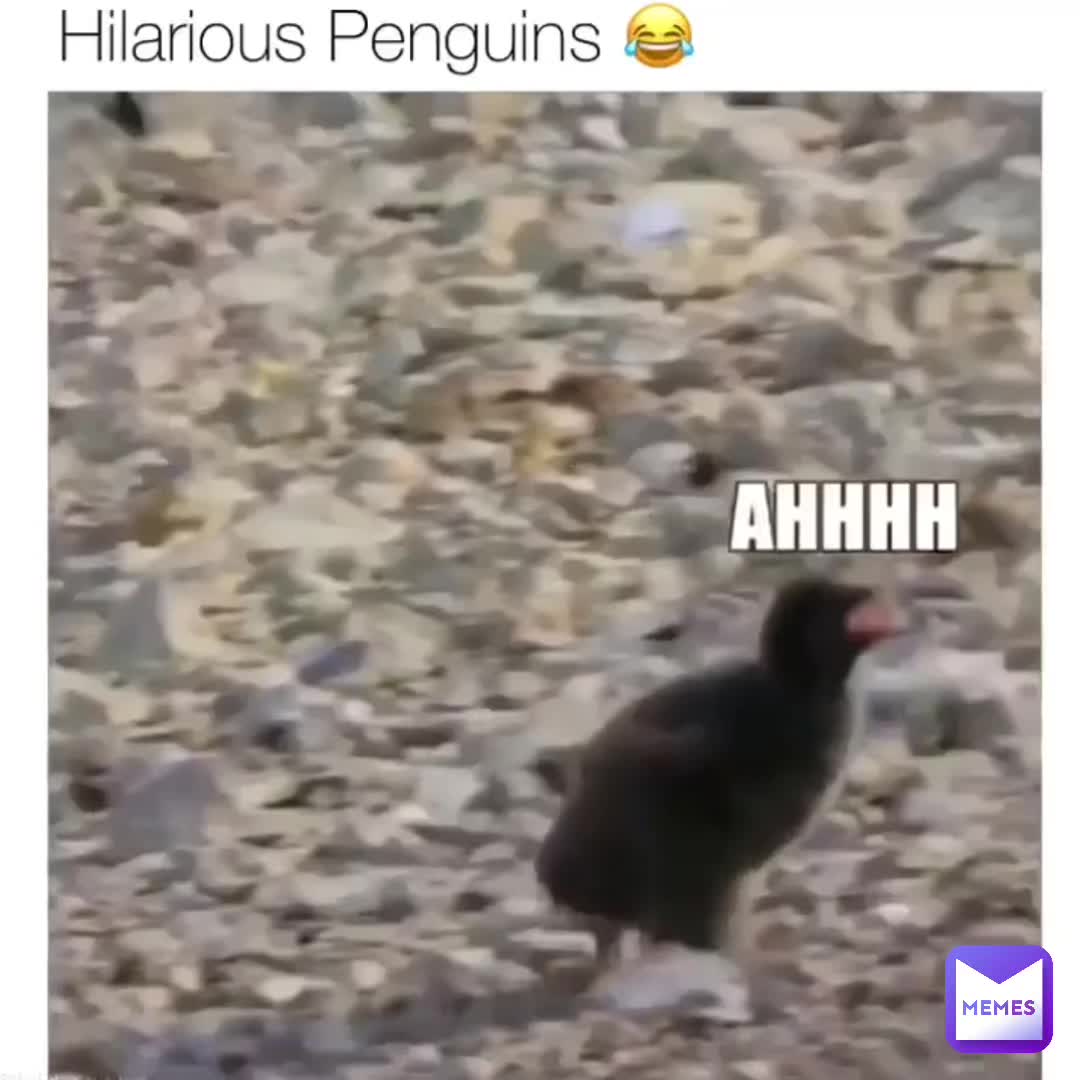 Post by @broken_ankles | Memes