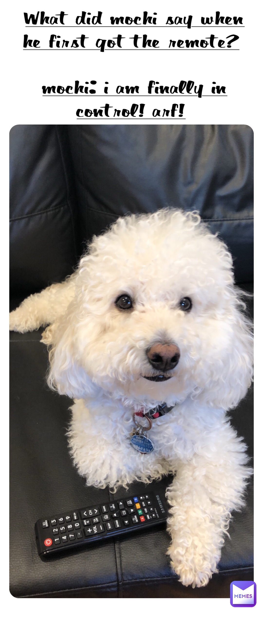 What did Mochi say when he first got the remote? Mochi: I Am Finally In ...