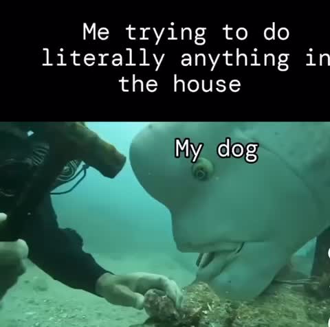 Post by @Prime_Time_Memes | Memes