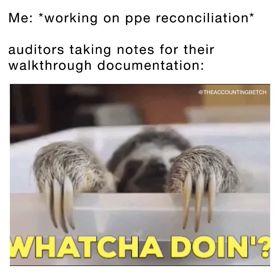 Me: *working on PPE reconciliation* Auditors taking notes for their ...