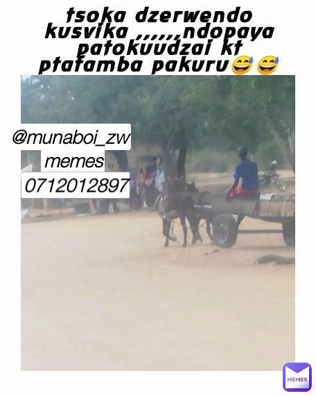 _memes_ Anombokuisawo pdp er kn kt unongoiswa pstatus uchizviona wega ...