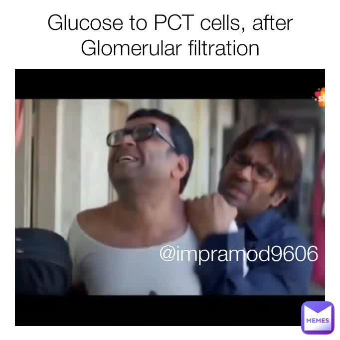 Glucose to PCT cells, after Glomerular filtration @impramod9606 ...