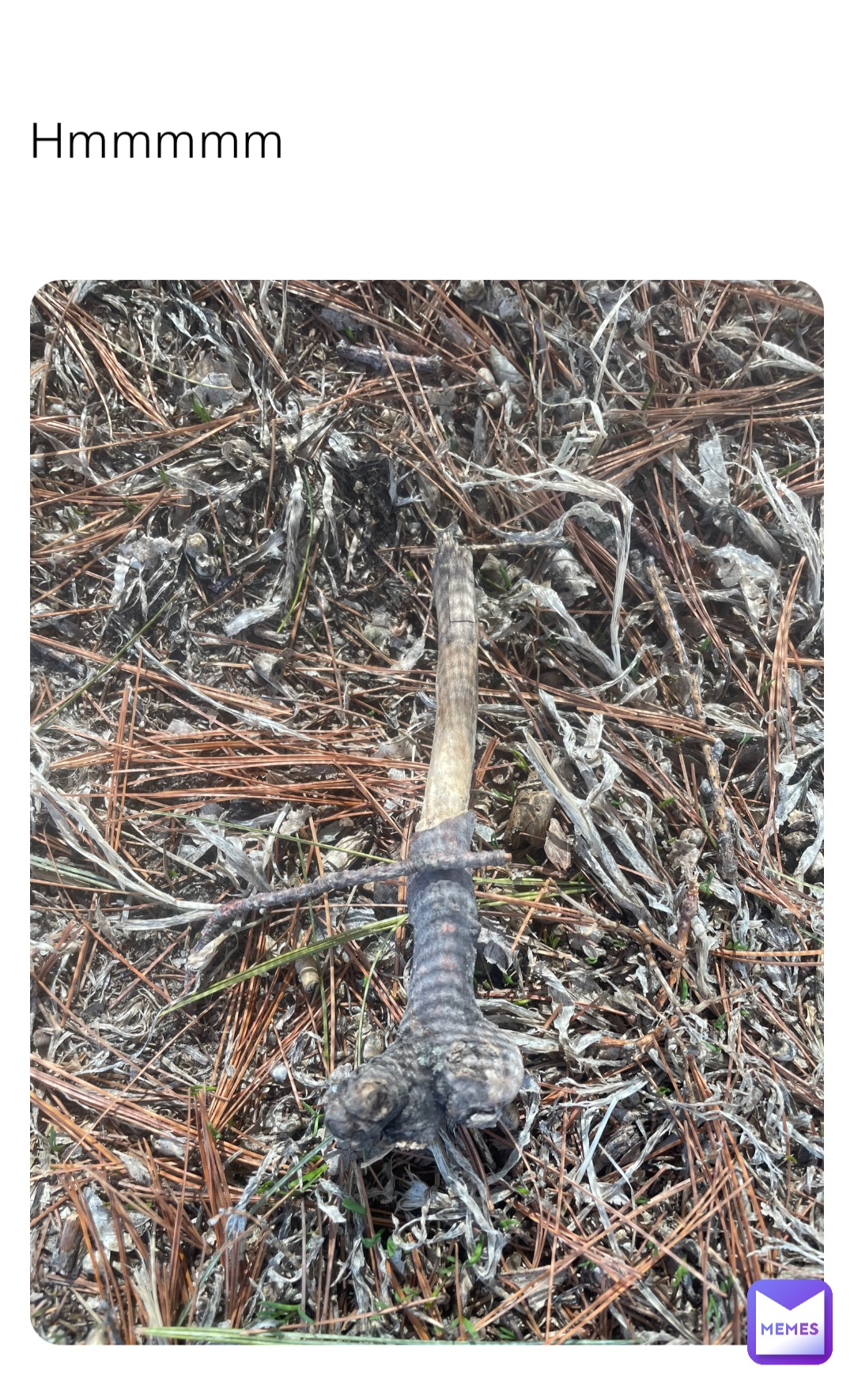 Hmmmmm | @memer554 | Memes