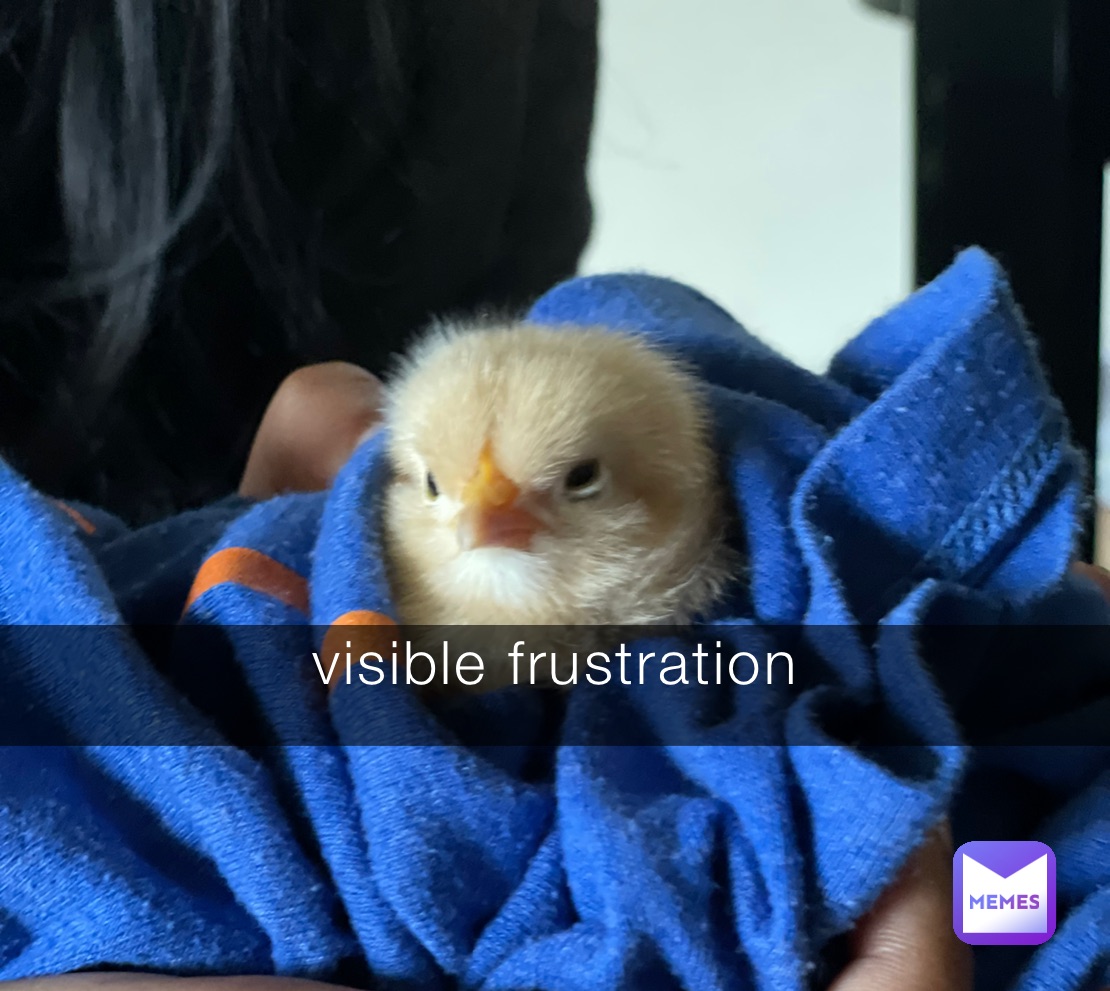 visible frustration visible frustration | @clownzsoda | Memes