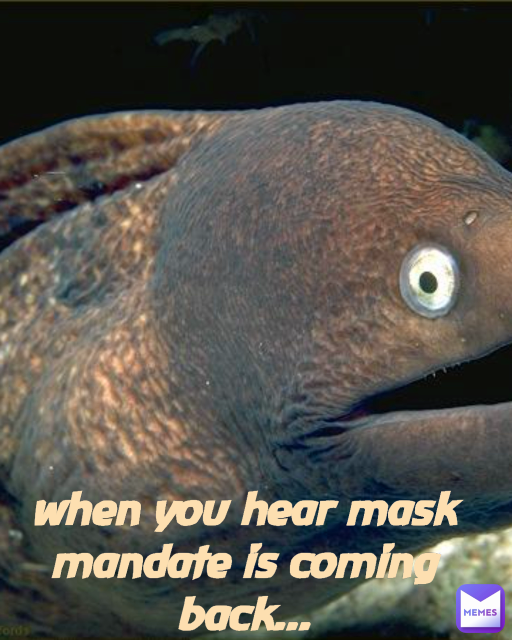 when you hear mask mandate is coming back... | @dcs7961 | Memes