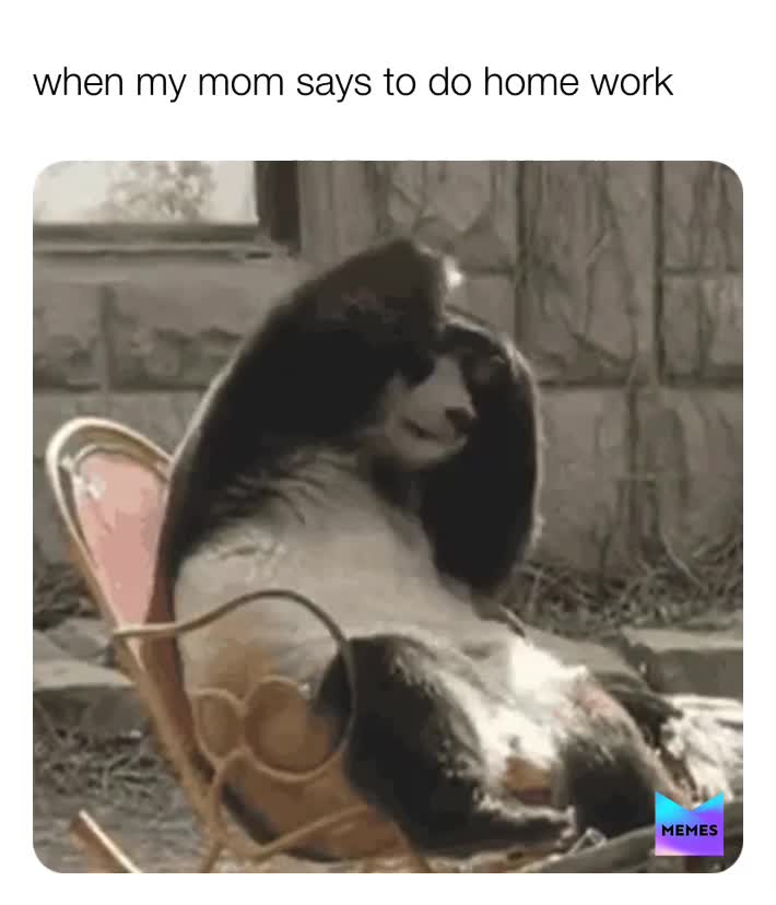 Post by @its_your_boy_ | Memes