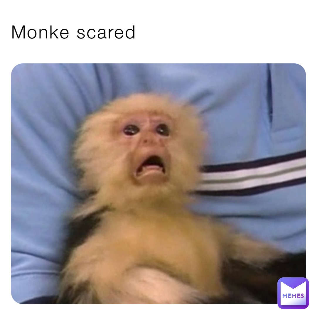Monke scared | @Shikomauru_Senpai | Memes