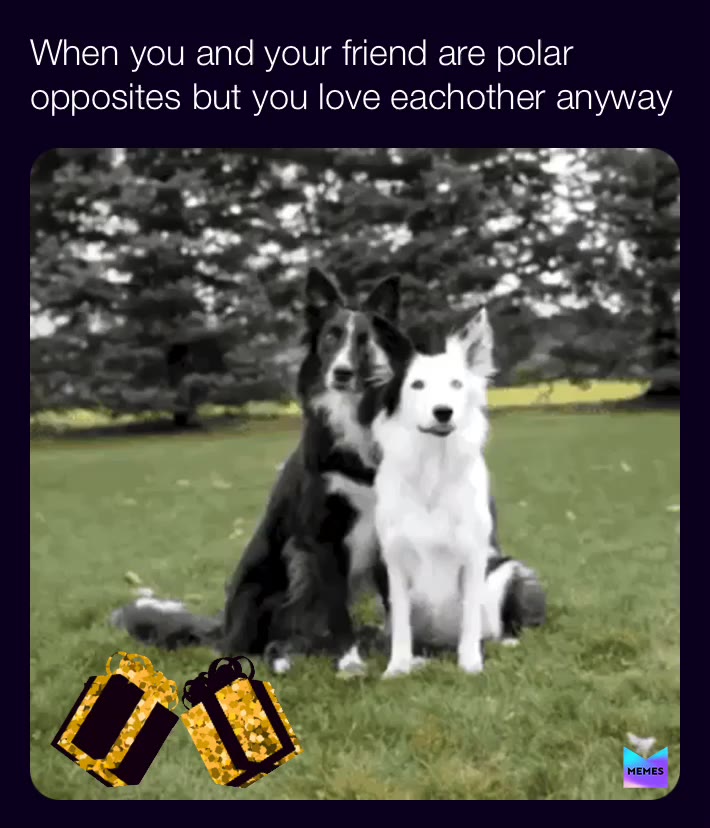 Post by @Darkmode_Nix | Memes