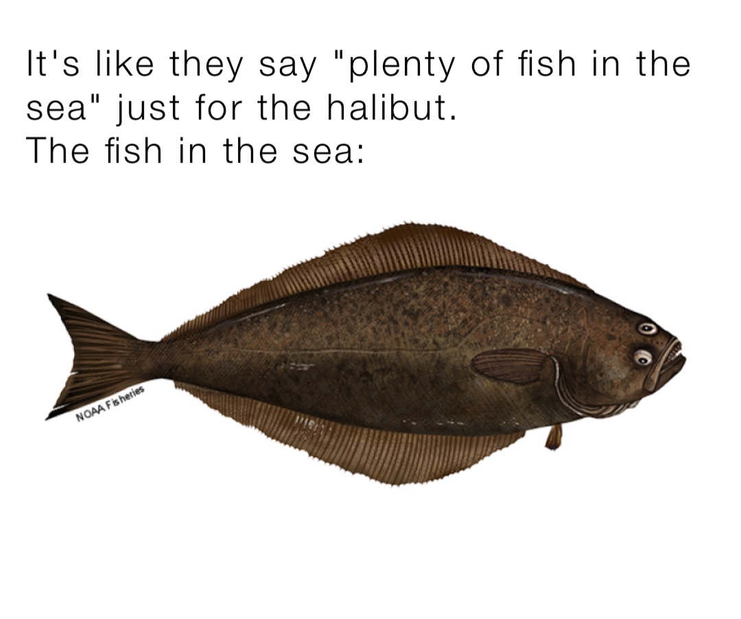 Post by @utohspaghettio_uwu | Memes