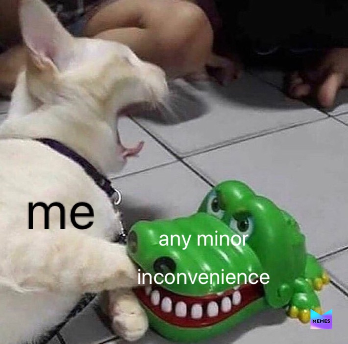 Post by @icantsleep_ | Memes
