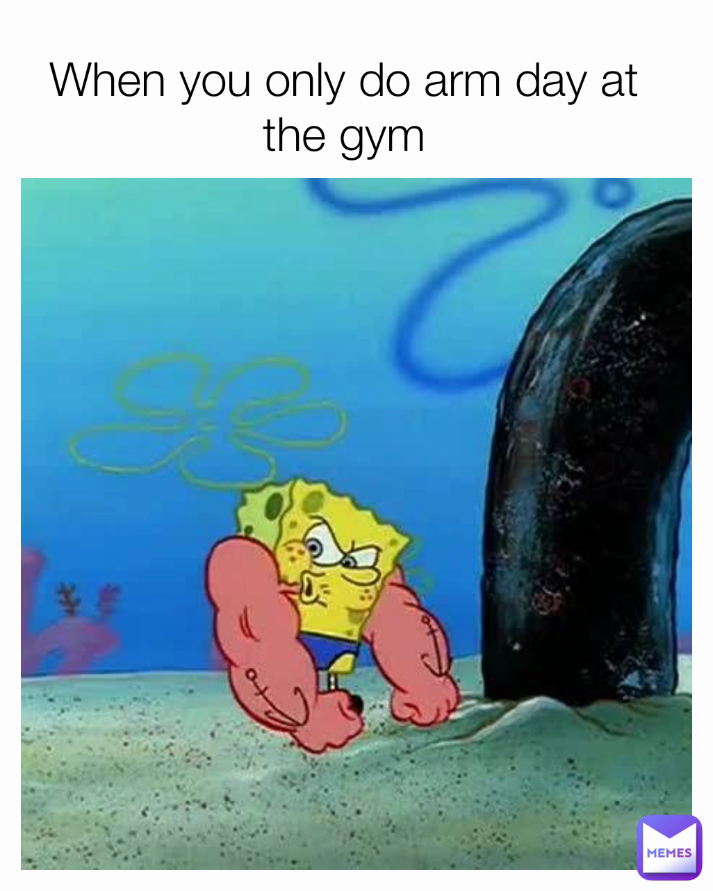 When you only do arm day at the gym | @coolieinthecut | Memes
