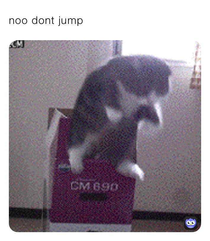 noo dont jump | @kaisome | Memes