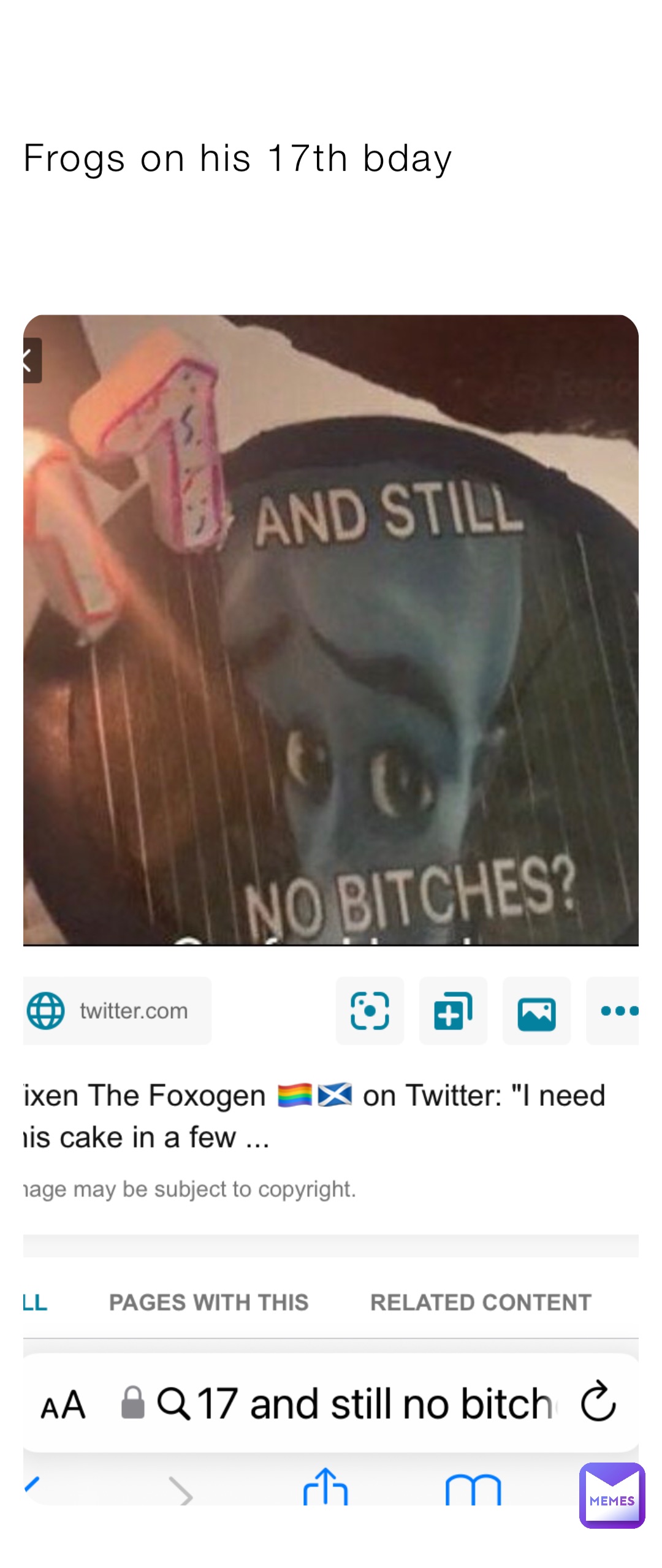 Frogs on his 17th bday | @reeeeeee_123 | Memes