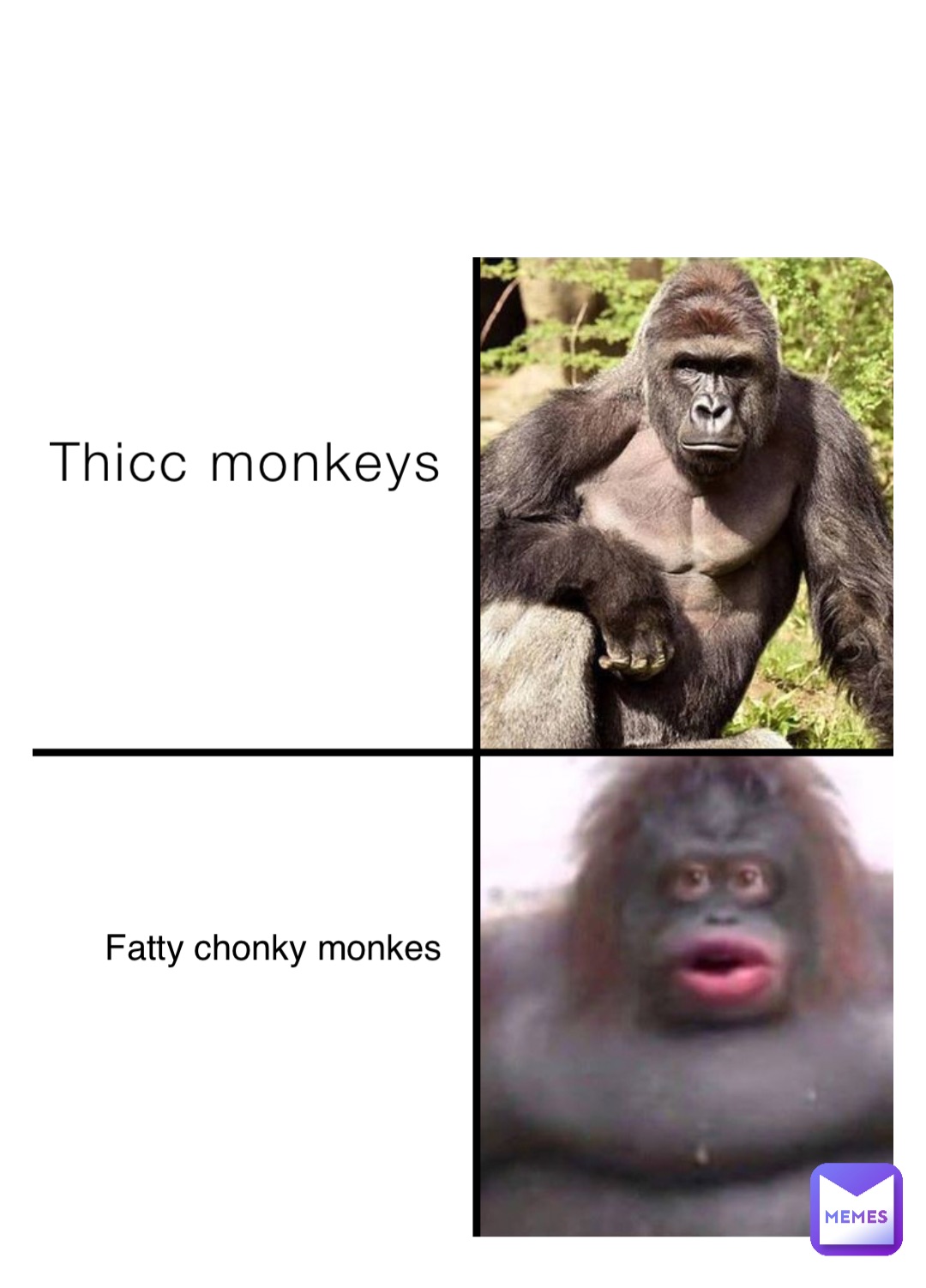 Thicc monkeys Fatty chonky monkes | @gia_buffina_bee | Memes