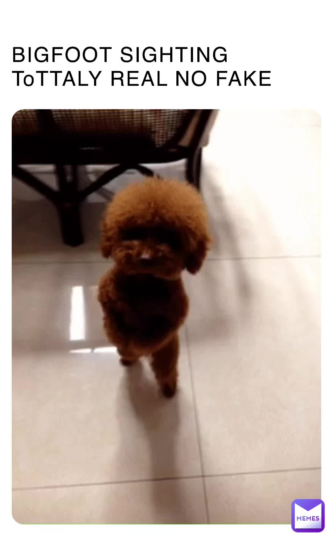 BIGFOOT SIGHTING ToTTALY REAL NO FAKE | @ninjamonkey_I_no_1 | Memes