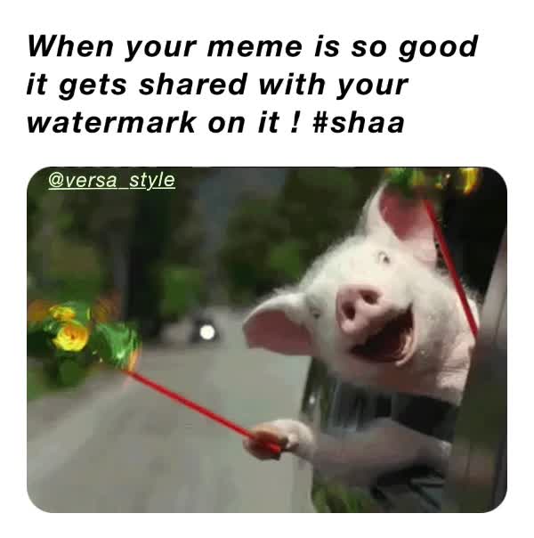 When your meme is so good it gets shared with your watermark on it ! # ...
