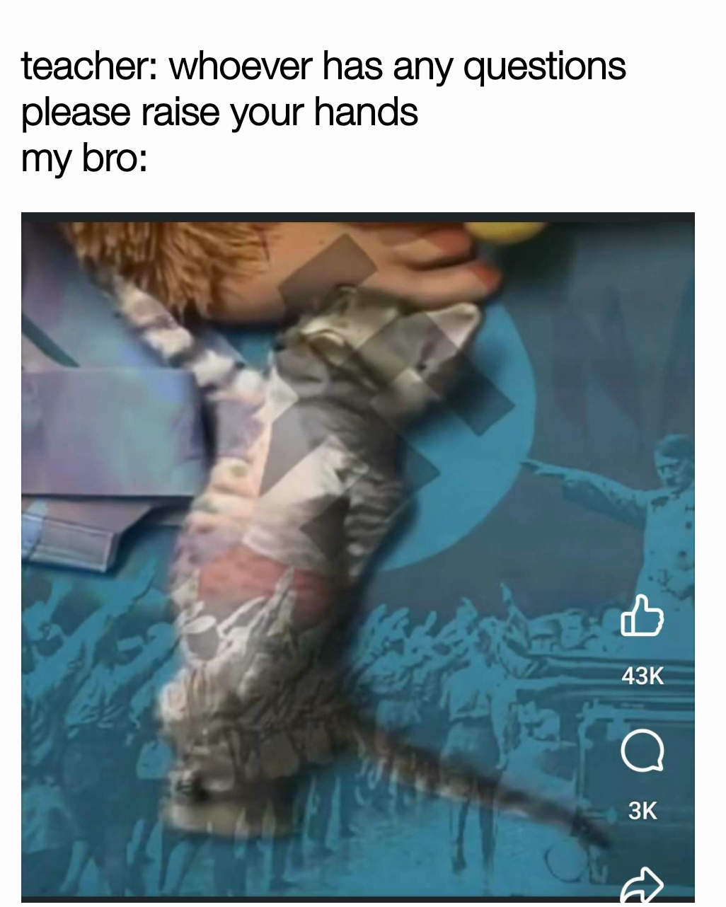 teacher: whoever has any questions please raise your hands my bro ...