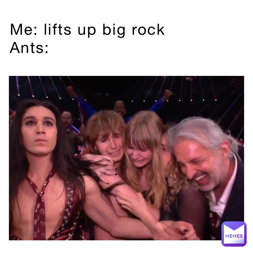 Me: lifts up big rock Ants: | @dookster | Memes
