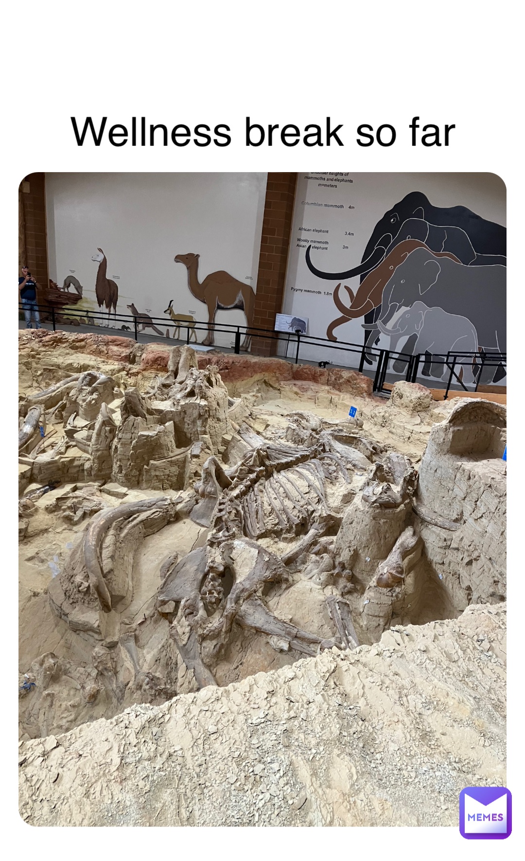 Double tap to edit Wellness break so far | @Russian_Maniac | Memes