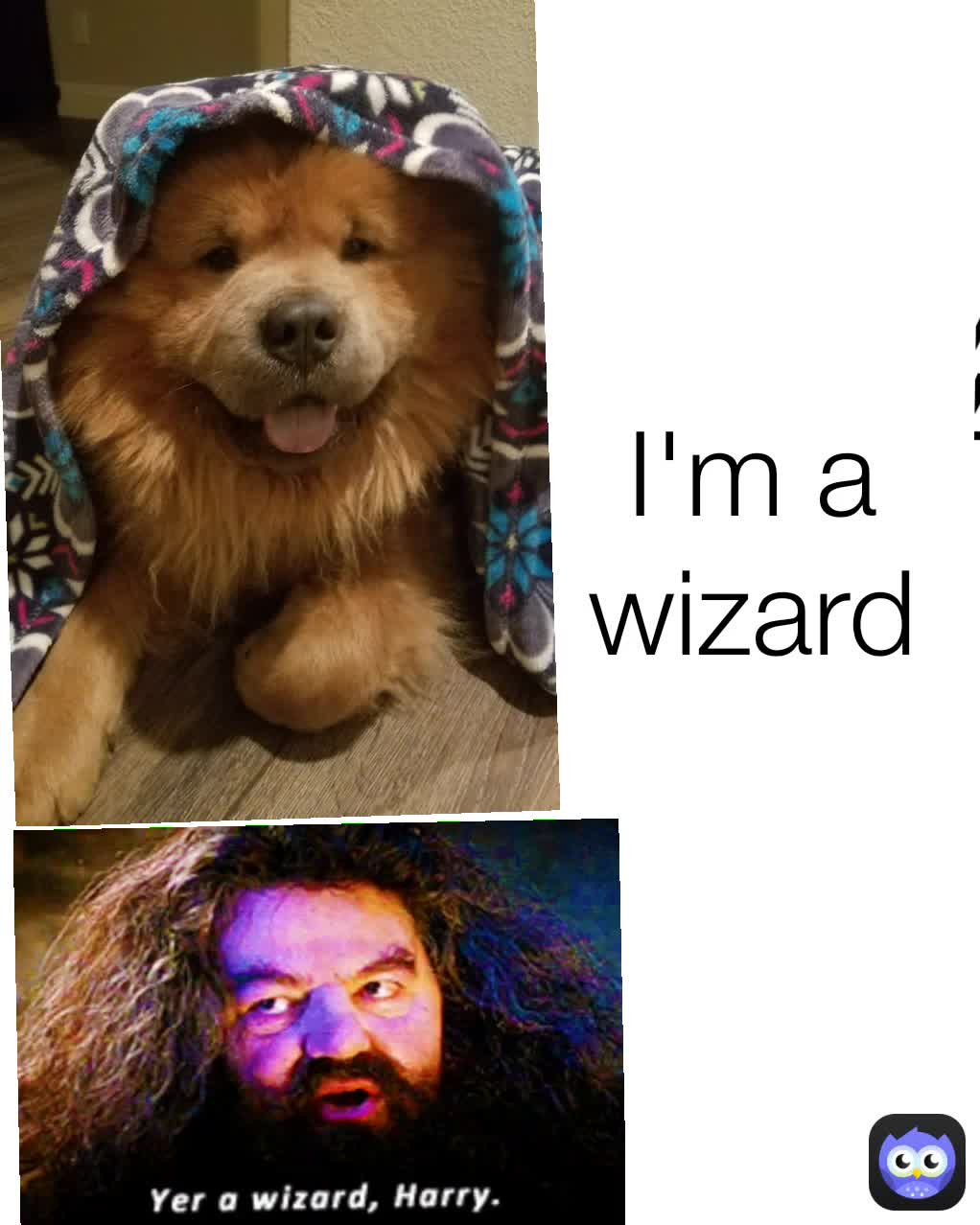 Post by @dogoo | Memes