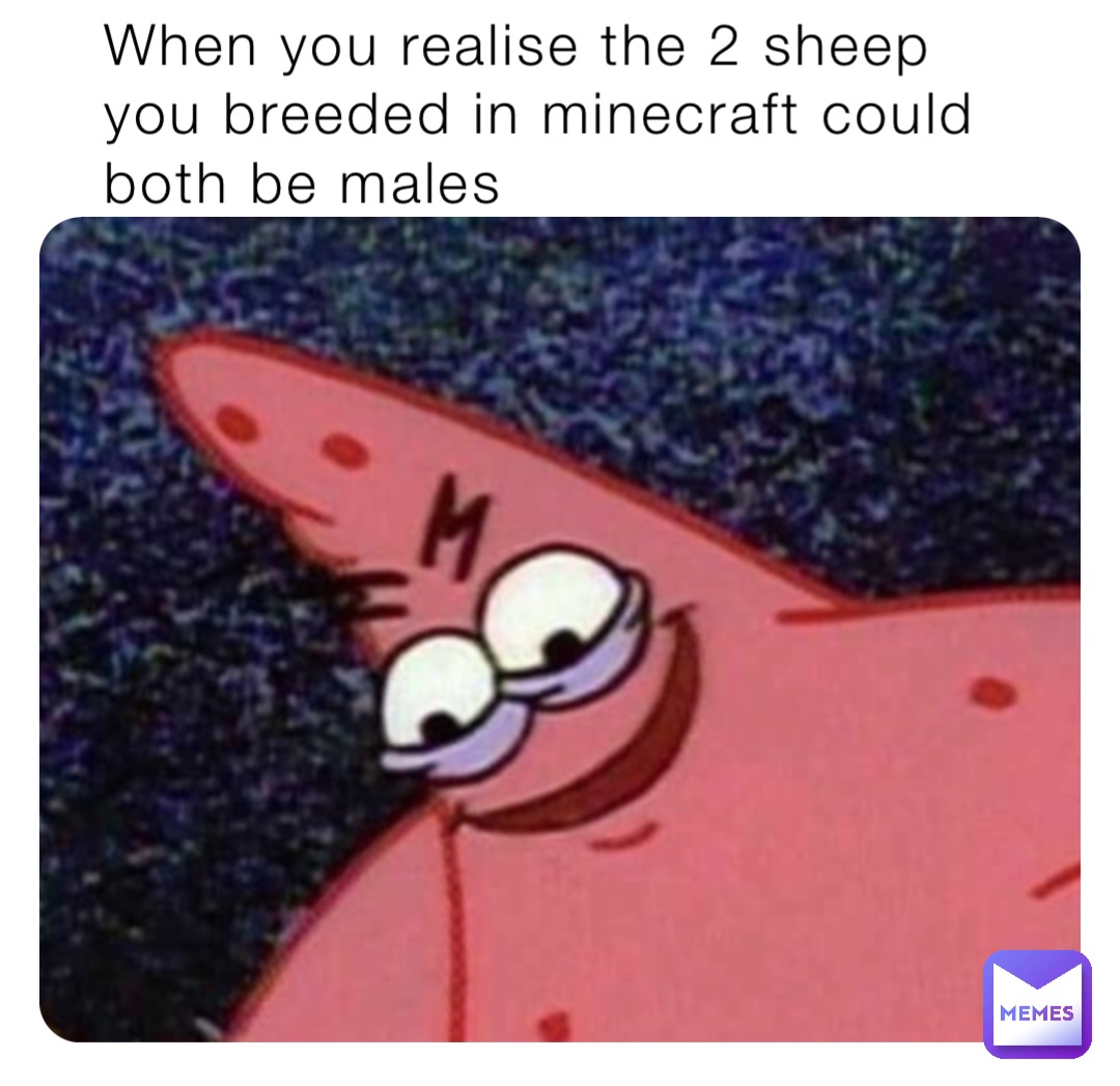 When you realise the 2 sheep you breeded in minecraft could both be ...