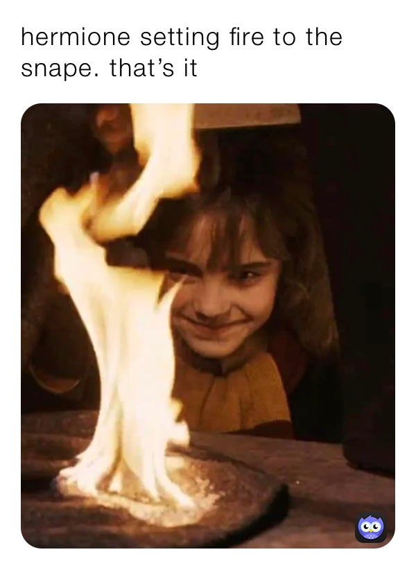 hermione setting fire to the snape. that’s it | @sophiasophiamobia | Memes
