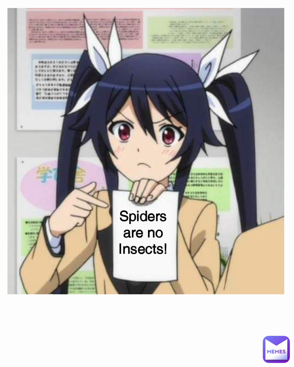 Spiders are no Insects! | @T85_Jr | Memes