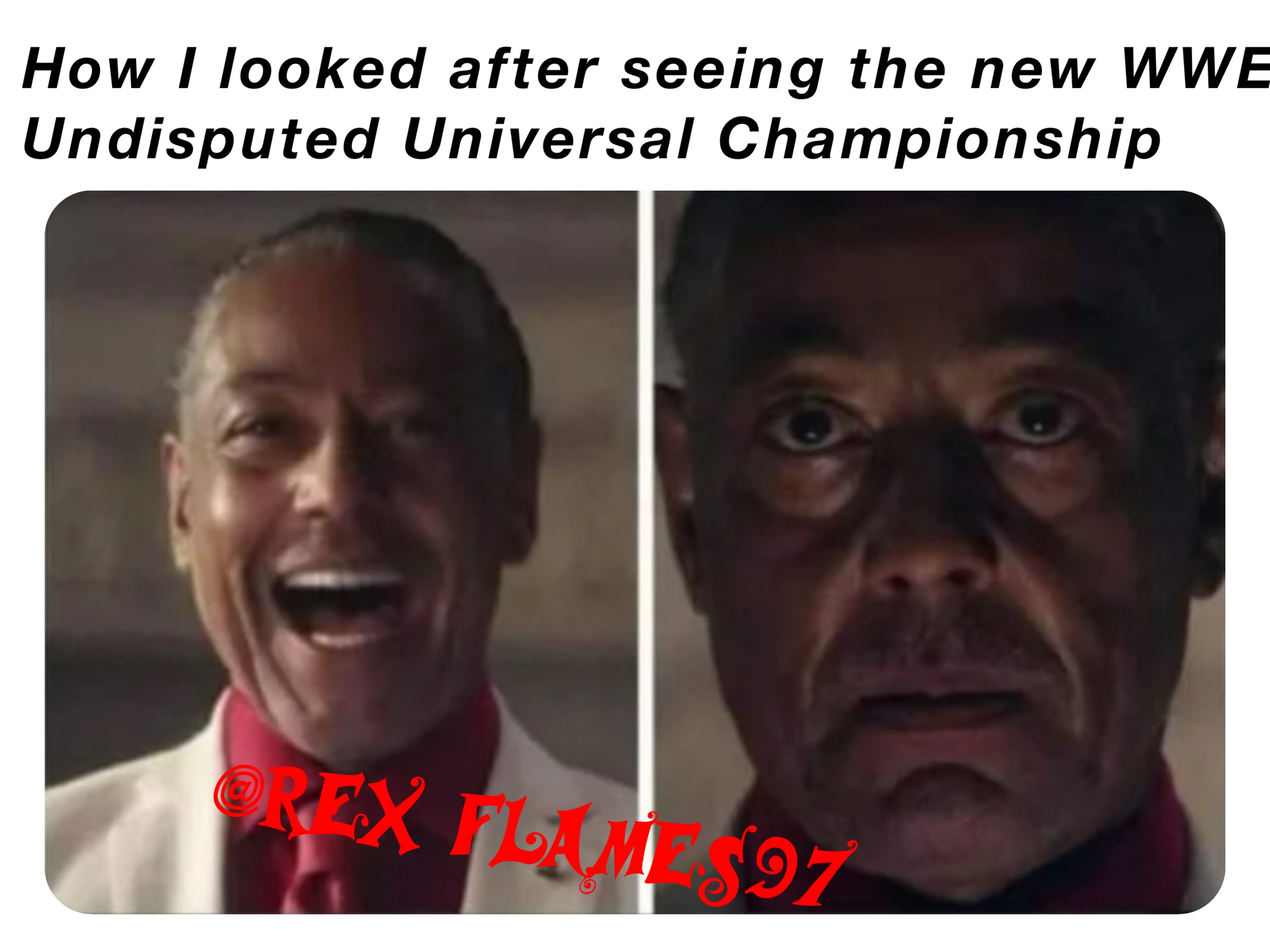 How I looked after seeing the new WWE Undisputed Universal Championship ...