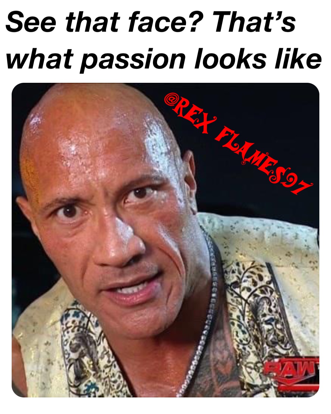 See that face? That’s what passion looks like | @RexFlames97 | Memes