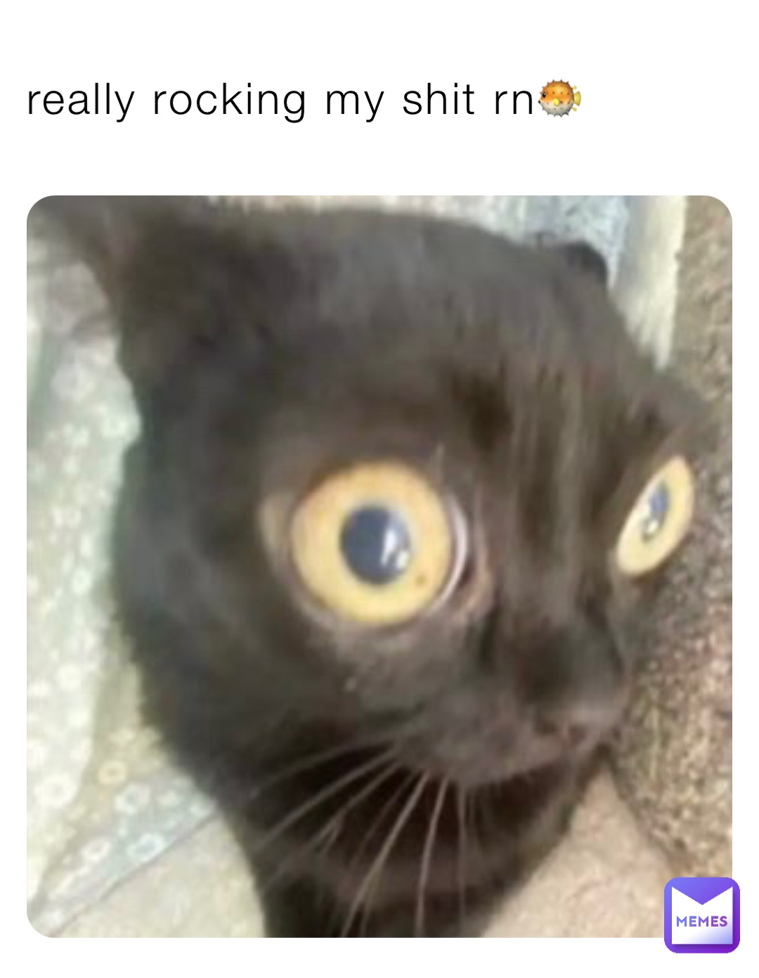 really rocking my shit rn🐡 | @recipe | Memes