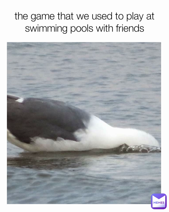 the game that we used to play at swimming pools with friends | @hb. | Memes