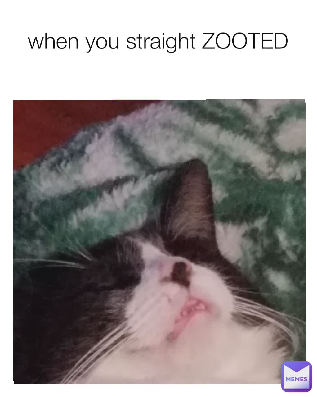 Post by @m1k3204 | Memes