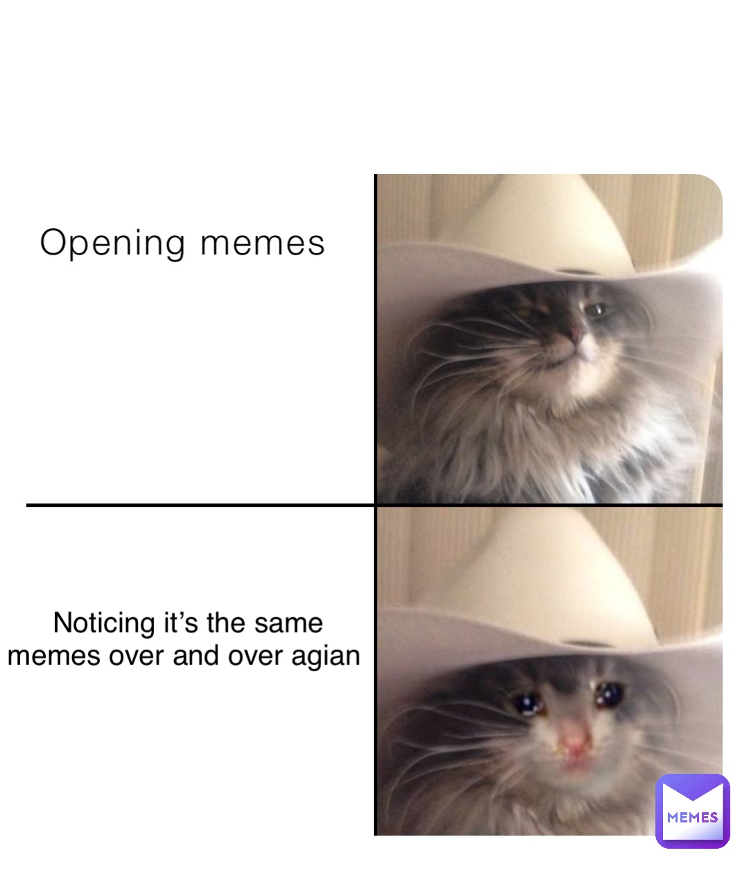 Opening memes Noticing it’s the same memes over and over agian ...
