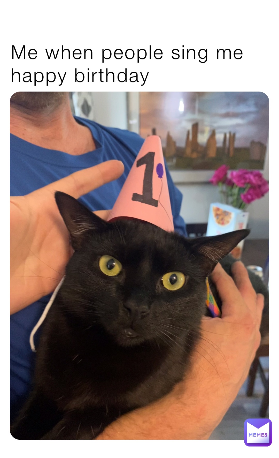 Zookeeper: here is a wild genny lover in his natural habitat The genny ...