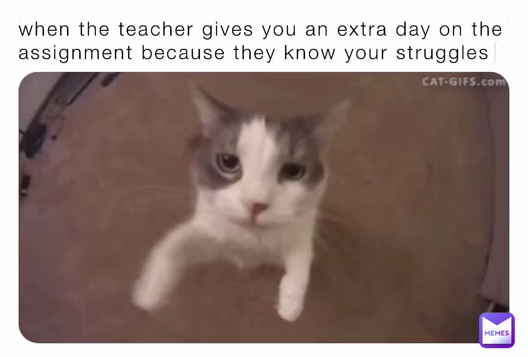 when the teacher gives you an extra day on the assignment because they ...