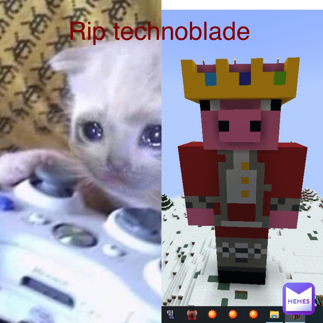 Rip technoblade | @Totally_potassium | Memes