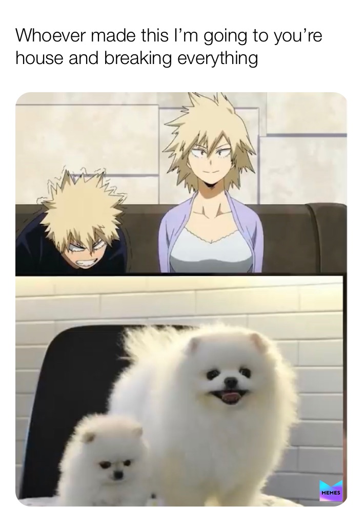 Post by @Bakugo_Katsuki | Memes