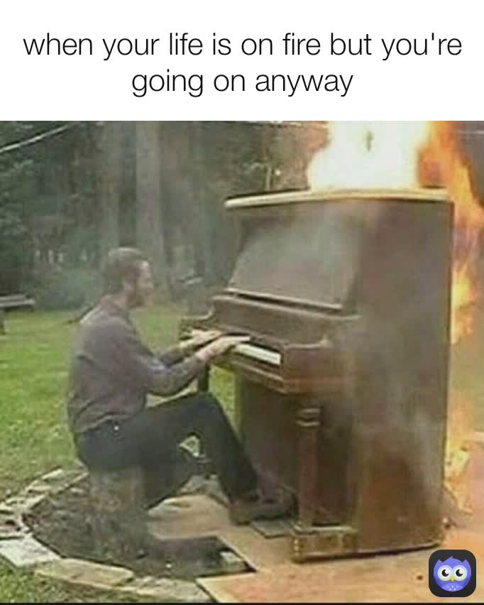 when your life is on fire but you're going on anyway | @zea_the_weird ...