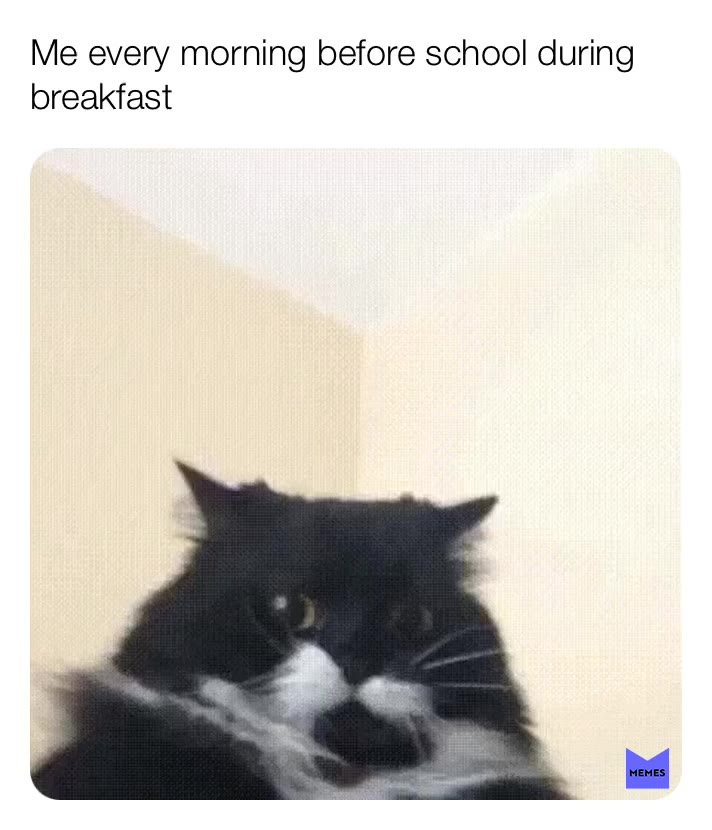 Post by @memes_are_mee | Memes