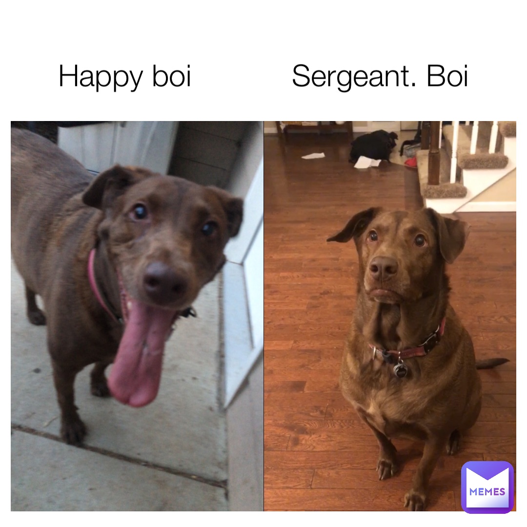 Happy boi Sergeant. Boi | @NoobsnWalls | Memes